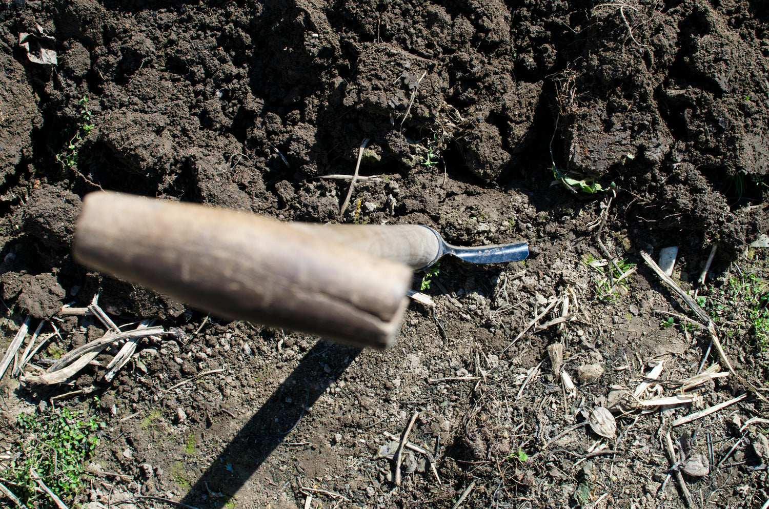 Understanding Soil Health and Soil Testing in California | Alluvial ...