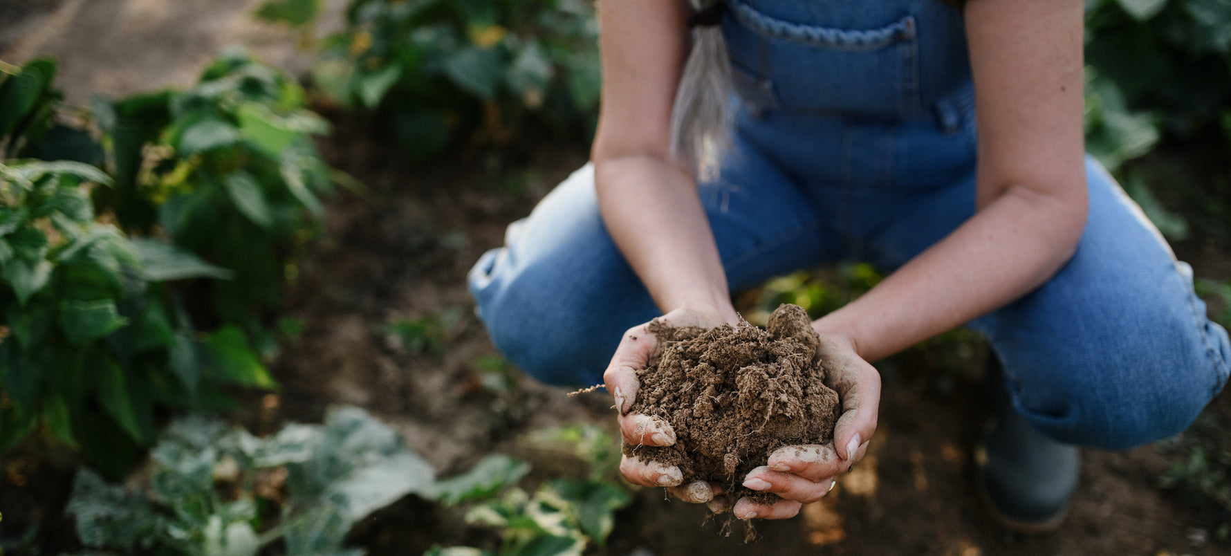 Alluvial Soil Lab | Soil Testing Service and Soil Analysis Kits