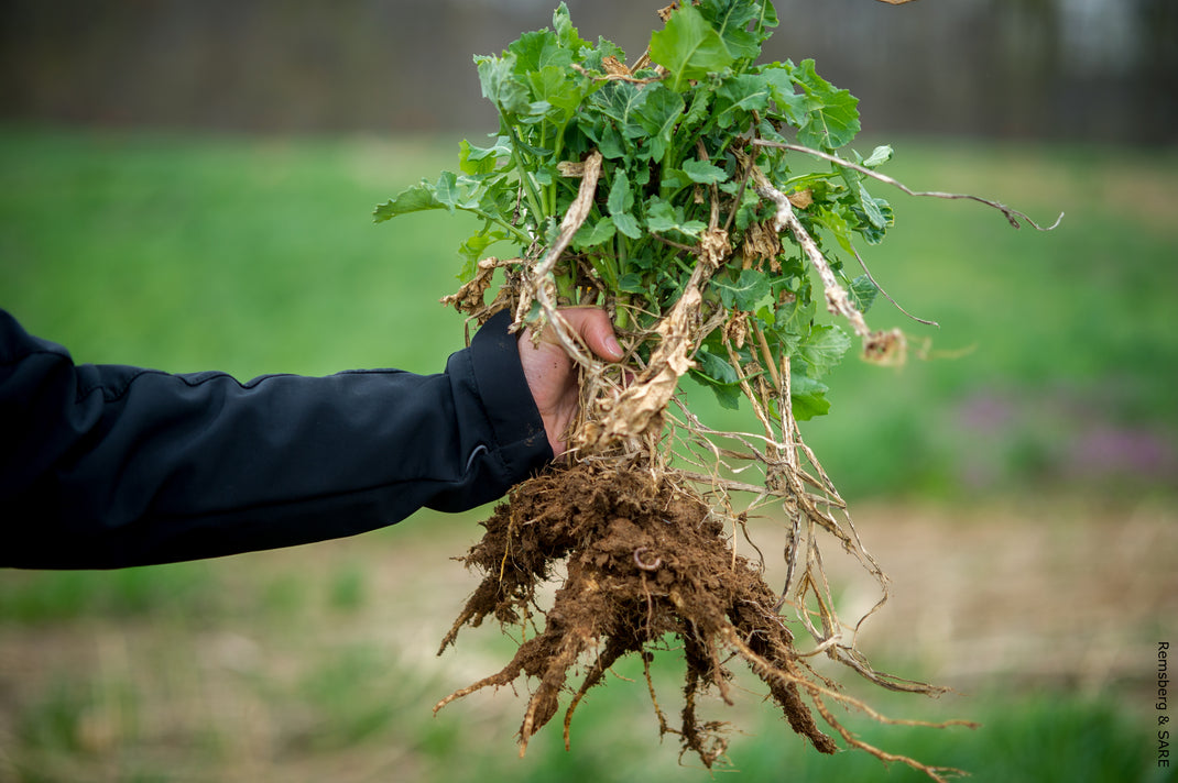 11 Things You Should Know About the Haney Soil Test | Alluvial Soil Lab