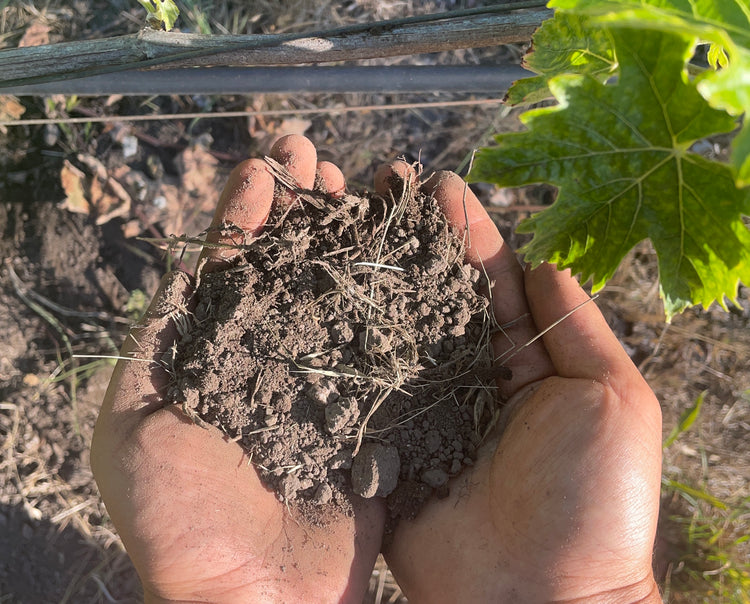 11 Things You Should Know About the Haney Soil Test | Alluvial Soil Lab